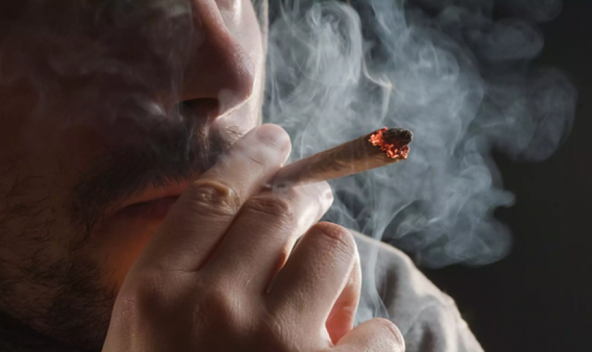 O Que é Sindrome Da K9 Clínica Viver Sem Drogas